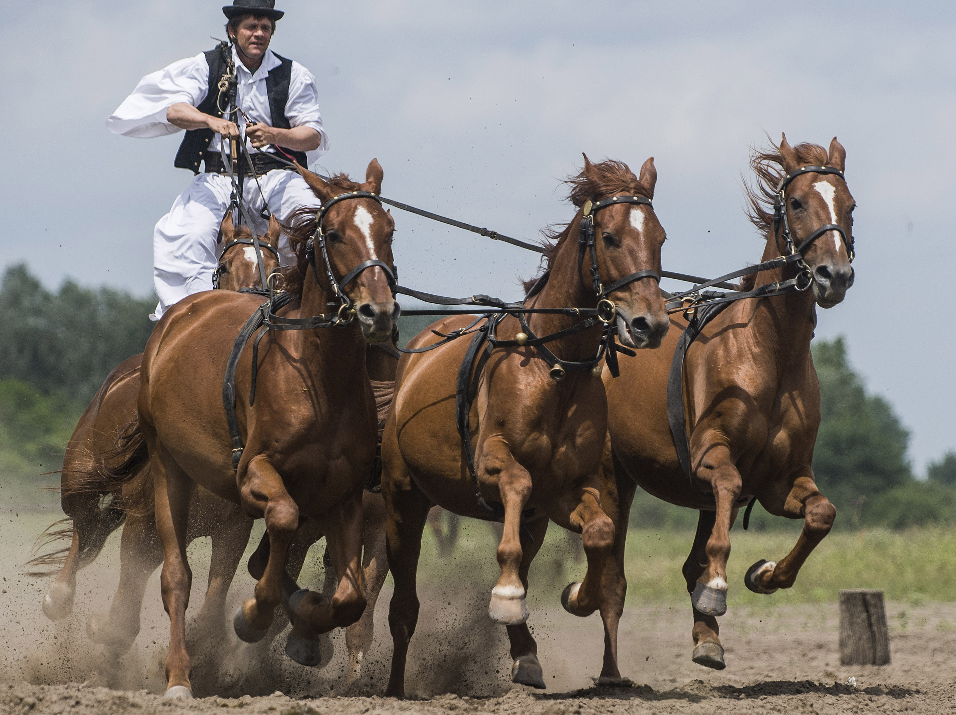 AKTÍV CSALÁDI ÉLMÉNY BUGACPUSZTÁN - Bács-Kiskun Vármegye Önkormányzata